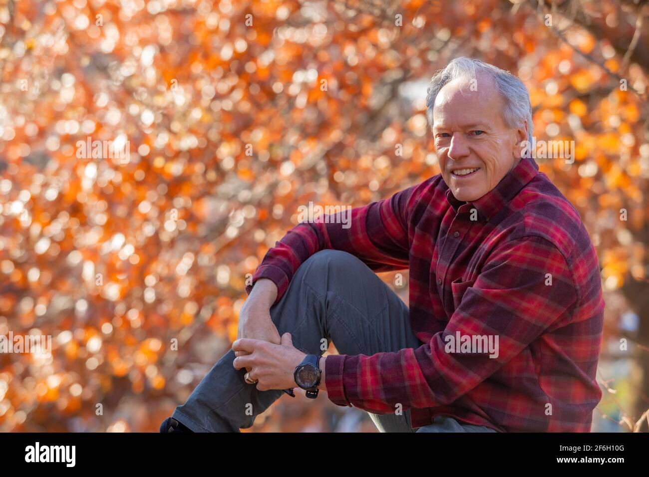 Portrait of senior man sitting hi-res stock photography and images - Alamy