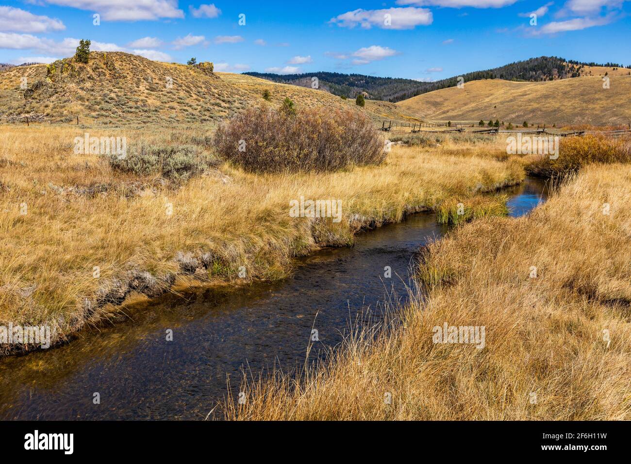 United States, Idaho, sun valley, Creek flowing through meadows in fall ...