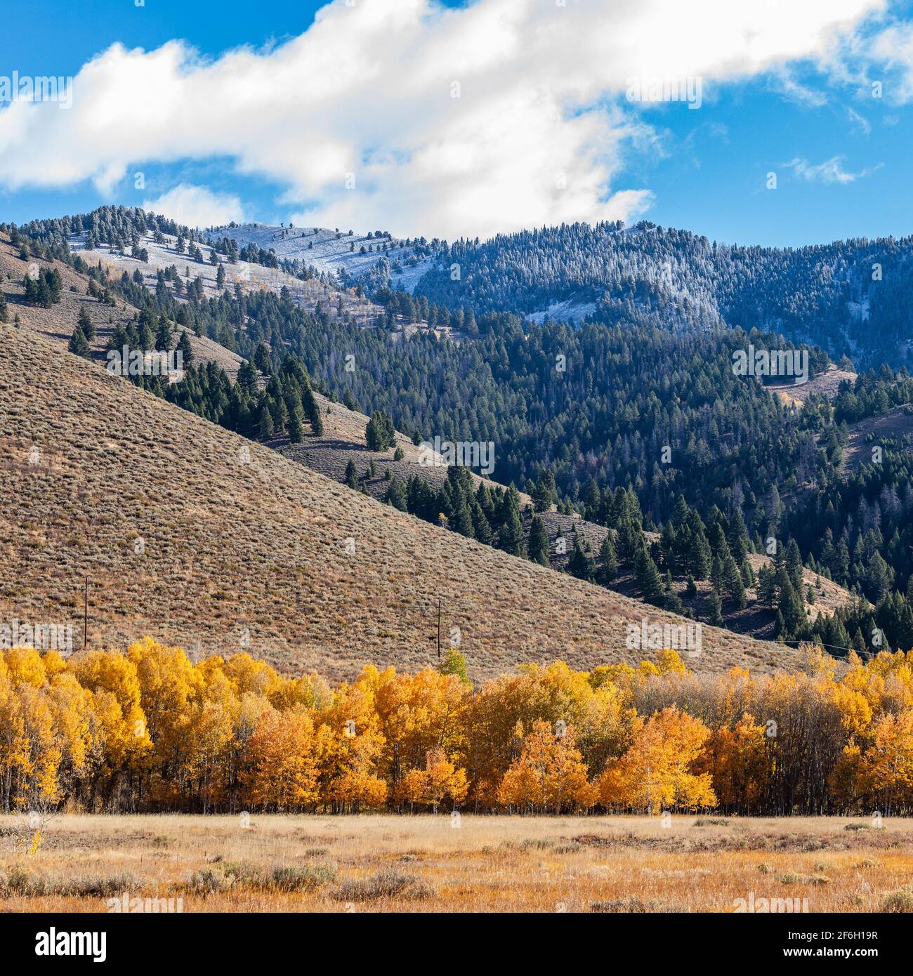 United States, Idaho,Sun Valley, Landscape with mountains and autumn ...