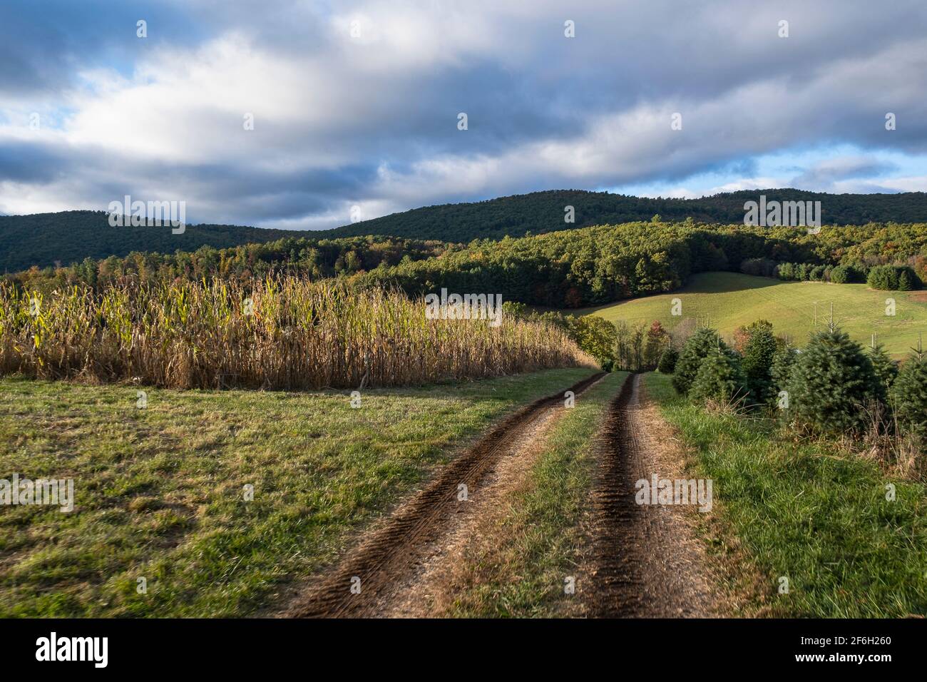Track in the field hi-res stock photography and images - Alamy