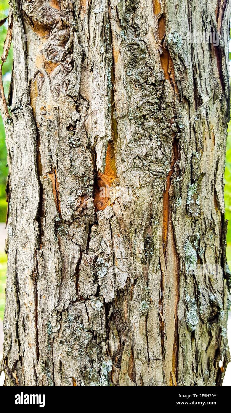 Environmental structure hi-res stock photography and images - Alamy