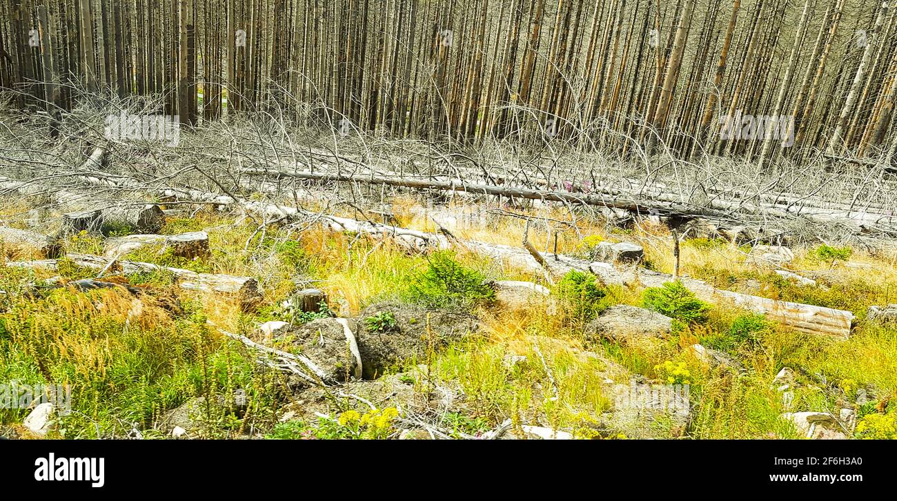 Dead mountains wilderness area hi-res stock photography and images - Alamy