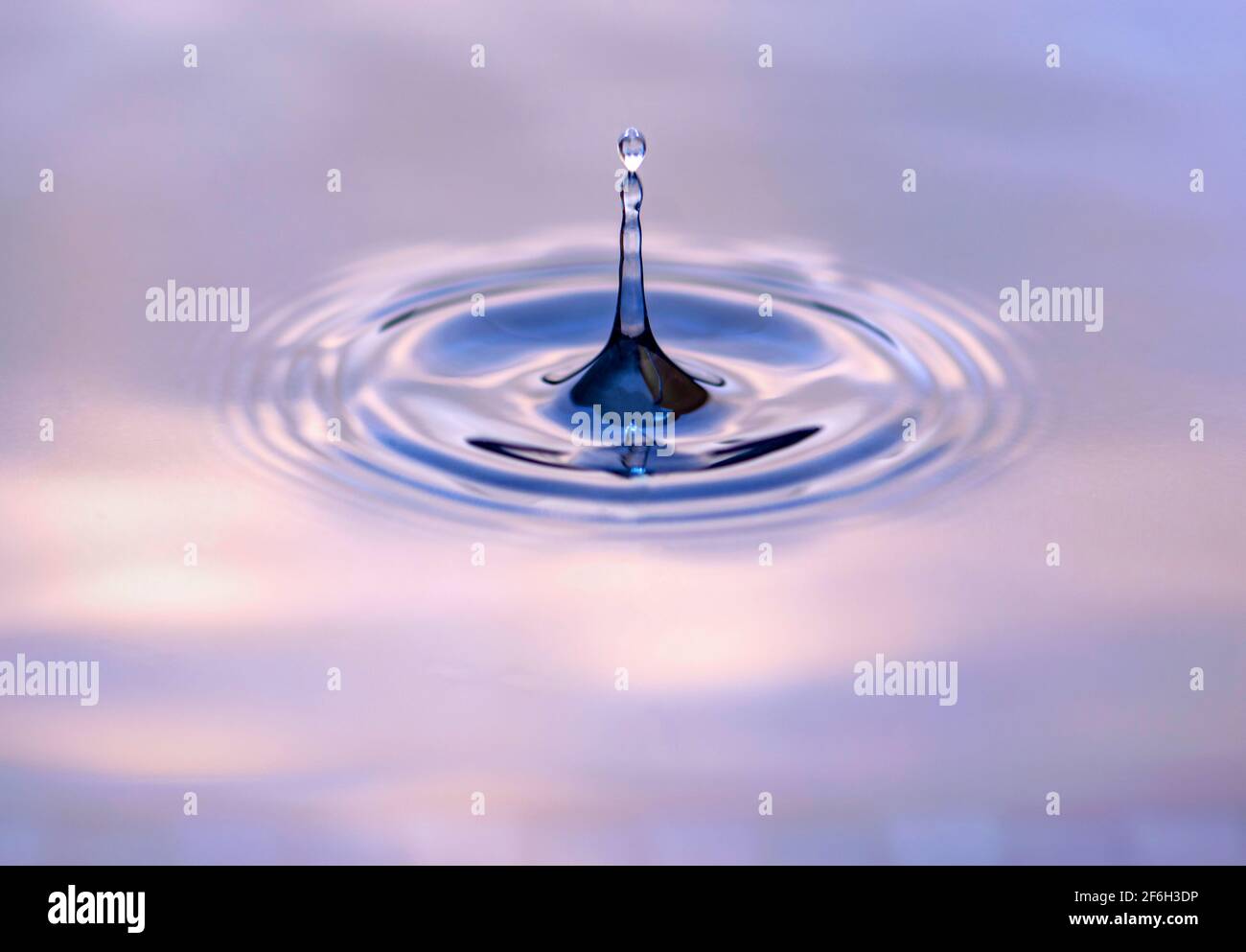 Water droplet dripping into blue and purple pool creating ripples and ...