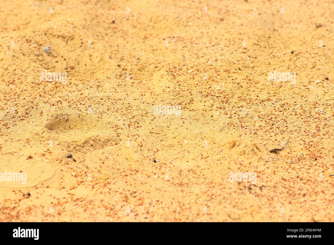 Crack ground texture background Stock Photo - Alamy