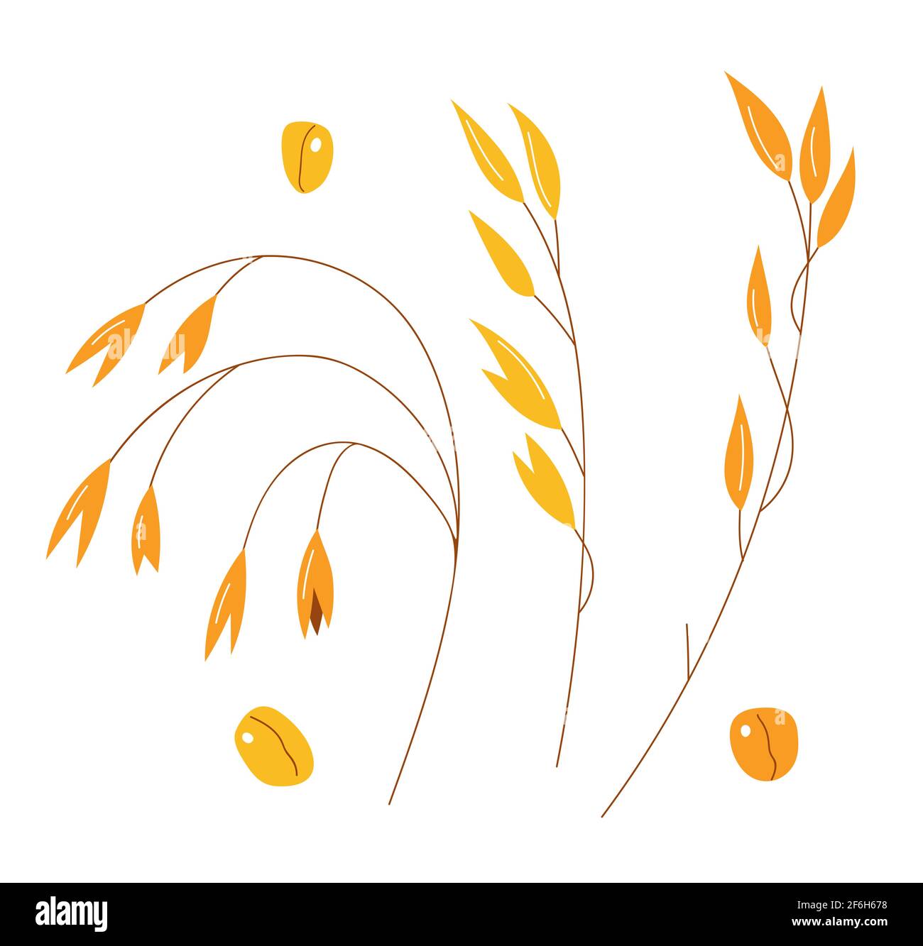 Hand drawn set of oats, oatmeal, oat grain. Stock vector isolated on ...