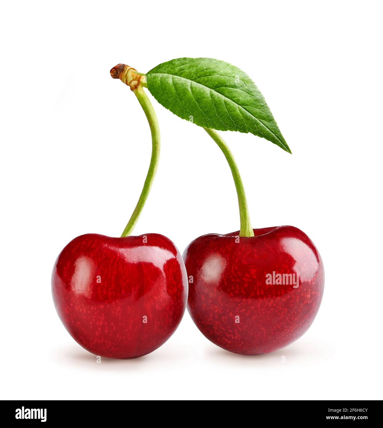 Two cherries with cherry leaf isolated on white Stock Photo - Alamy
