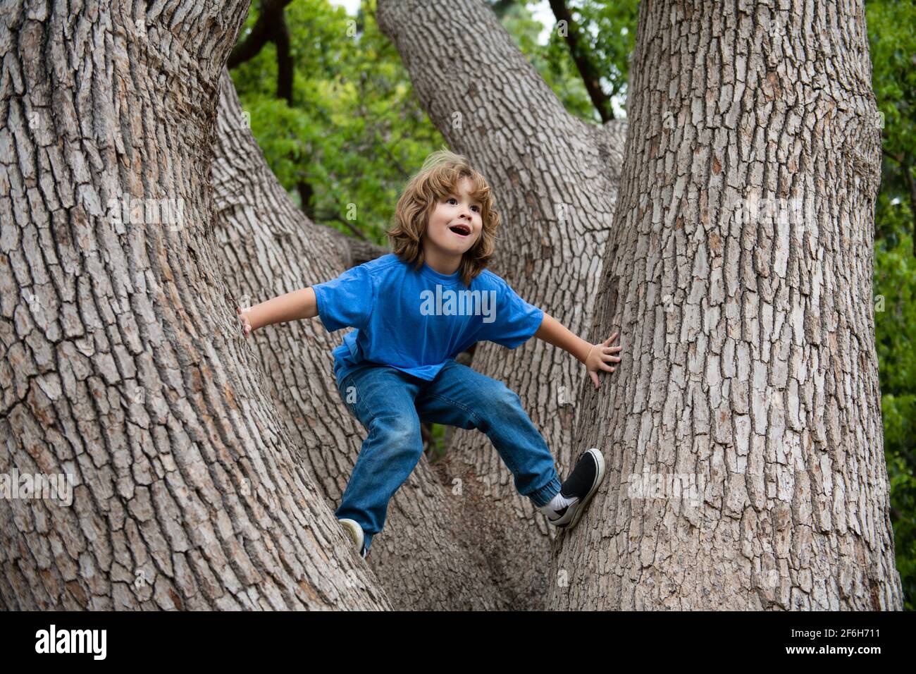 Little boy kid facing challenge trying to climb a tree Stock Photo - Alamy