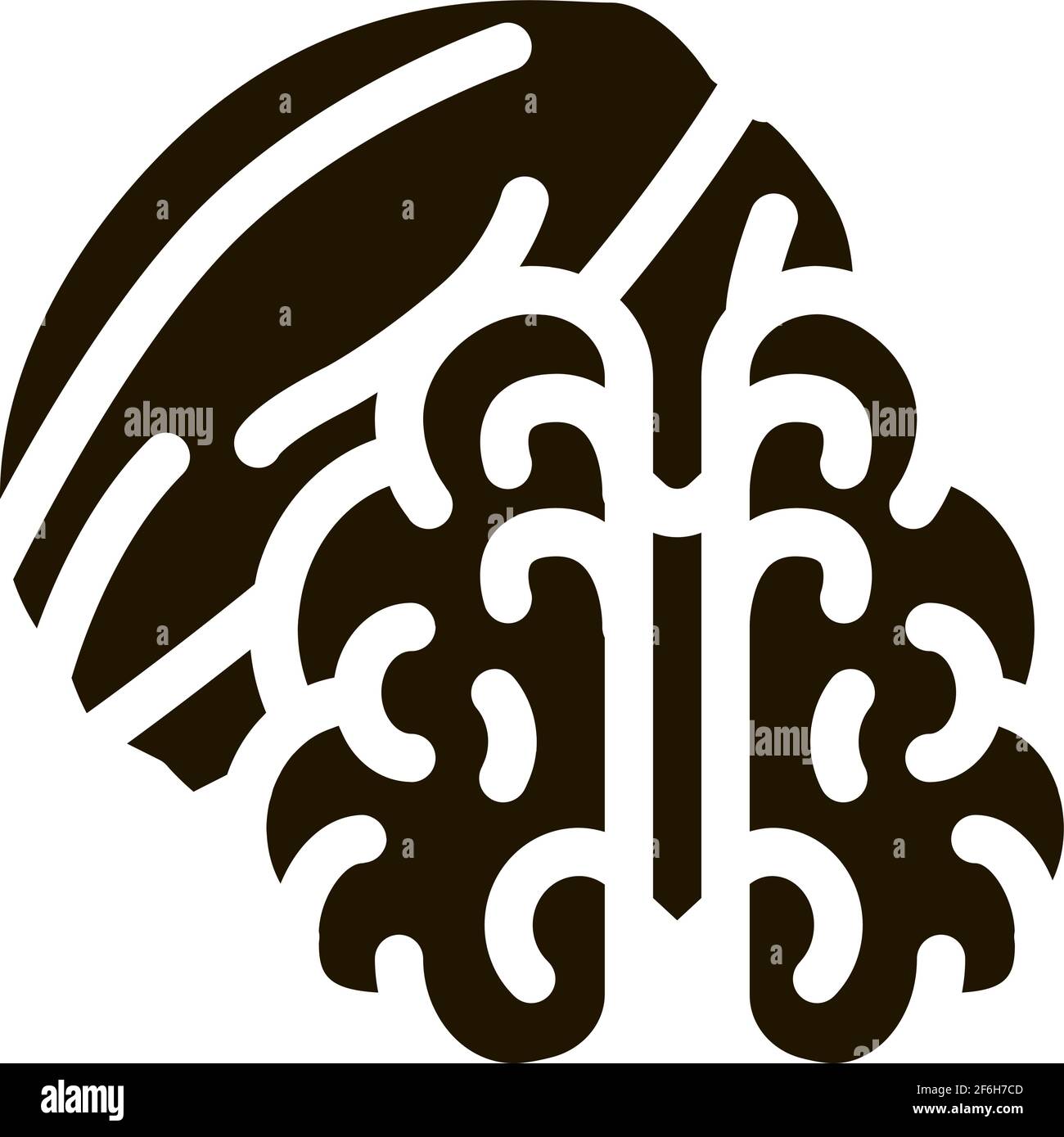 walnut nut icon Vector Glyph Illustration Stock Vector Image & Art - Alamy