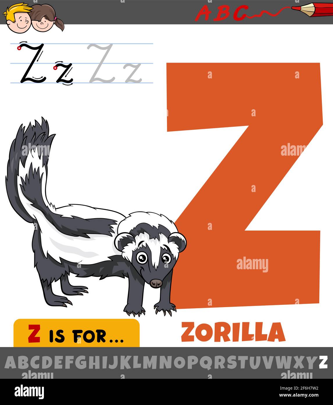 Educational cartoon illustration of letter Z from alphabet with zorilla ...