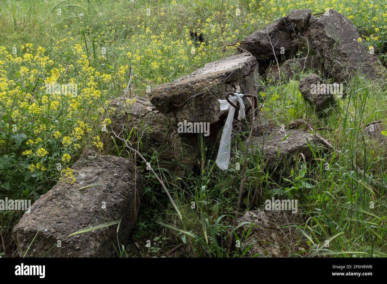 Al naqba hi-res stock photography and images - Alamy