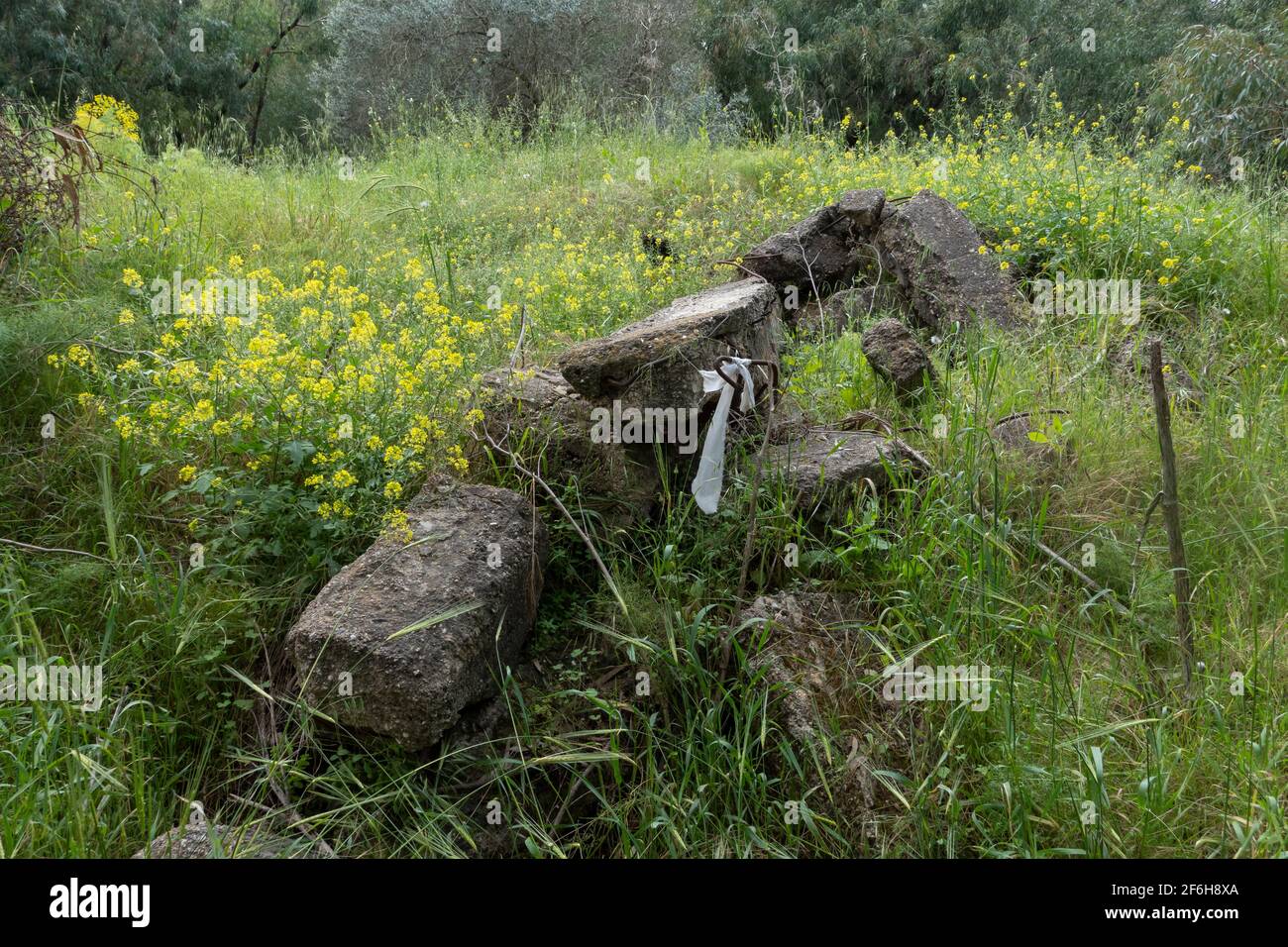 Al naqba hi-res stock photography and images - Alamy