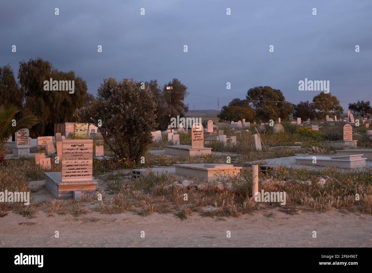 View of the At-Turi cemetery of the Al-Araqeeb Bedouin tribe which ...