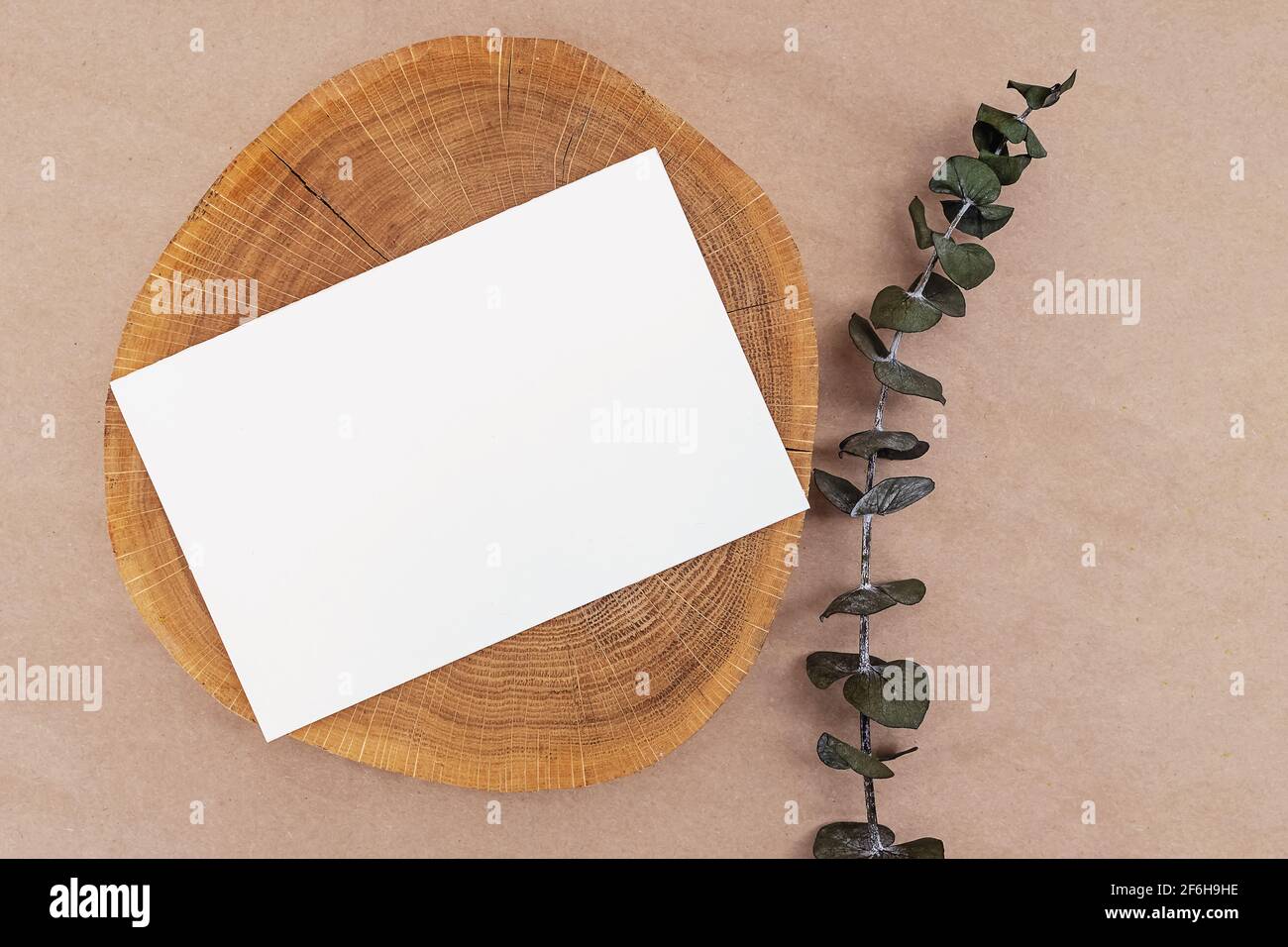 Empty paper card mock-up, woode saw cut and eucalyptus branch Stock ...
