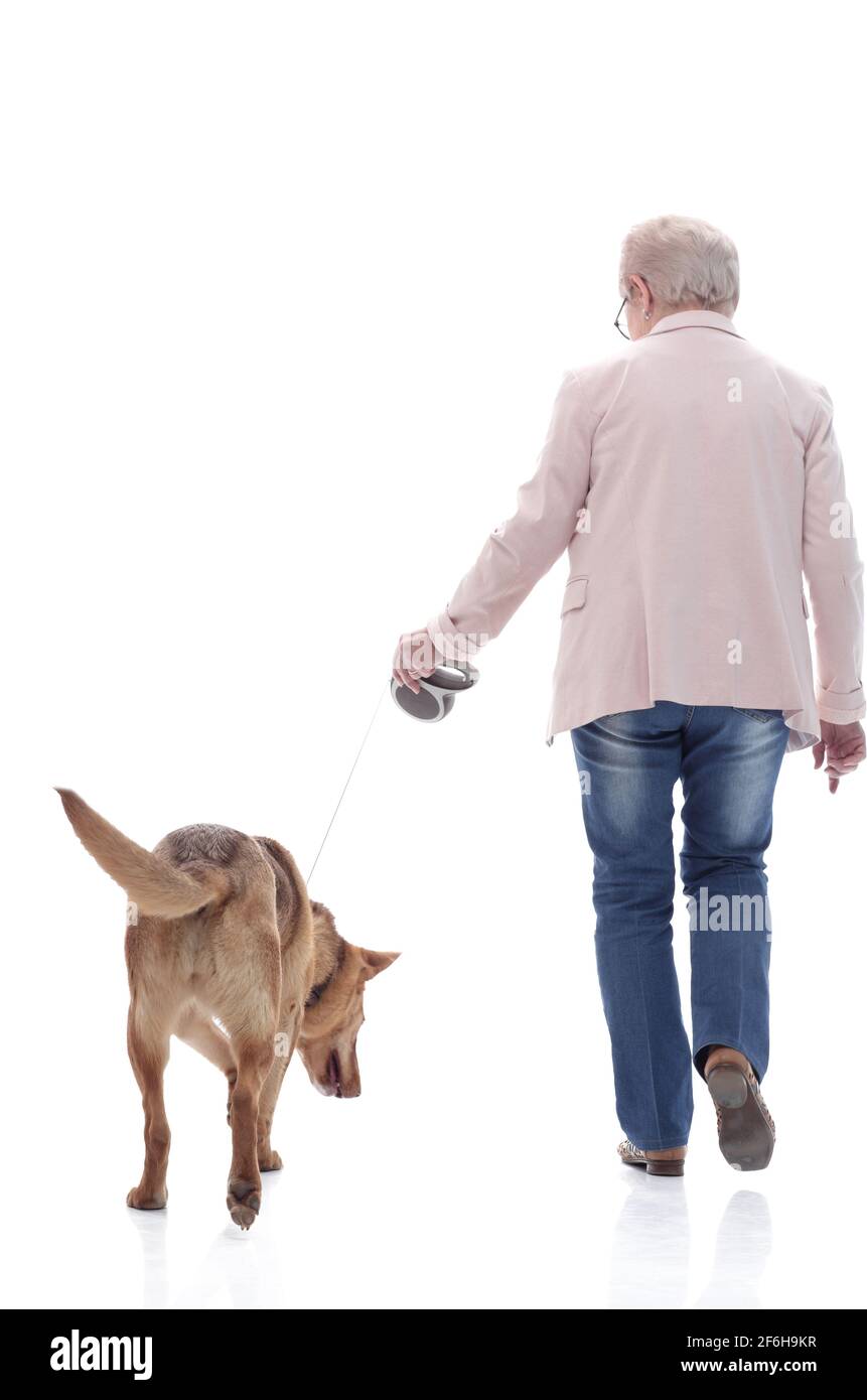 side view . senior lady and her dog walking together Stock Photo - Alamy