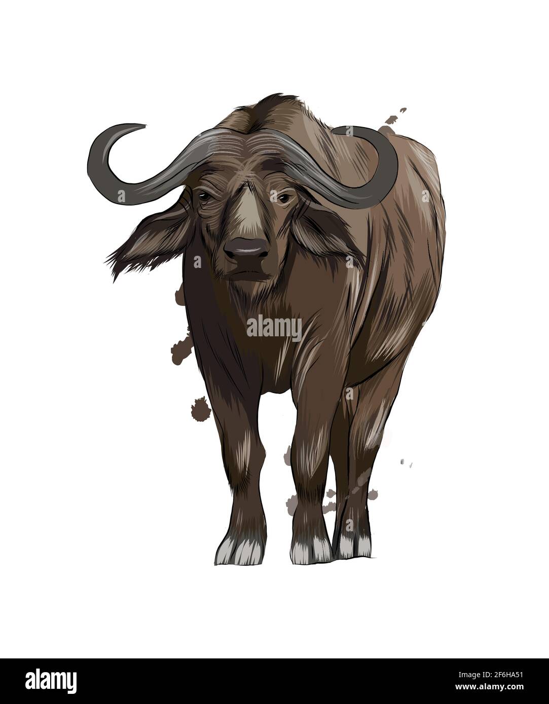 European bison Stock Vector Images - Alamy