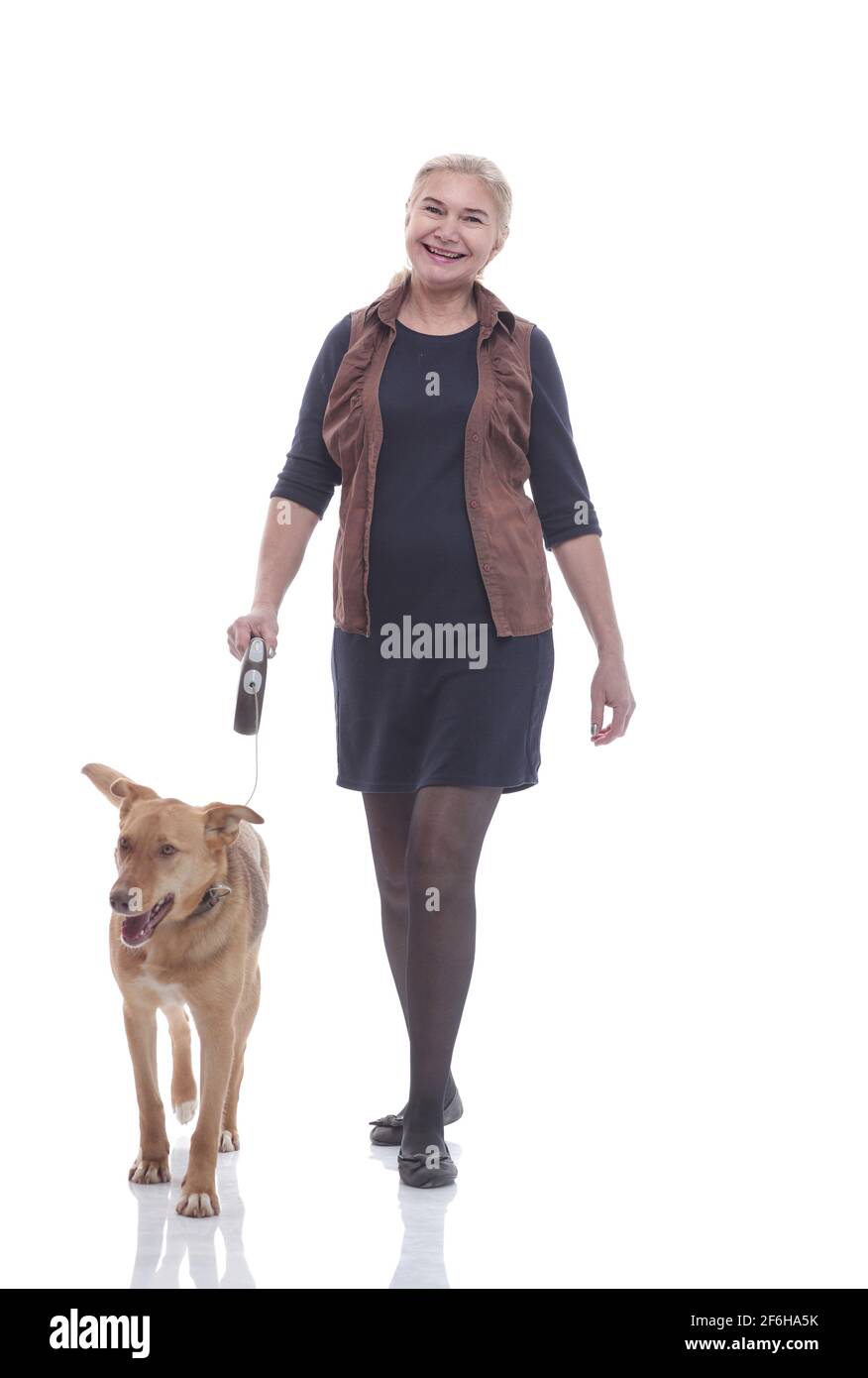 Dog handler care hi-res stock photography and images - Alamy