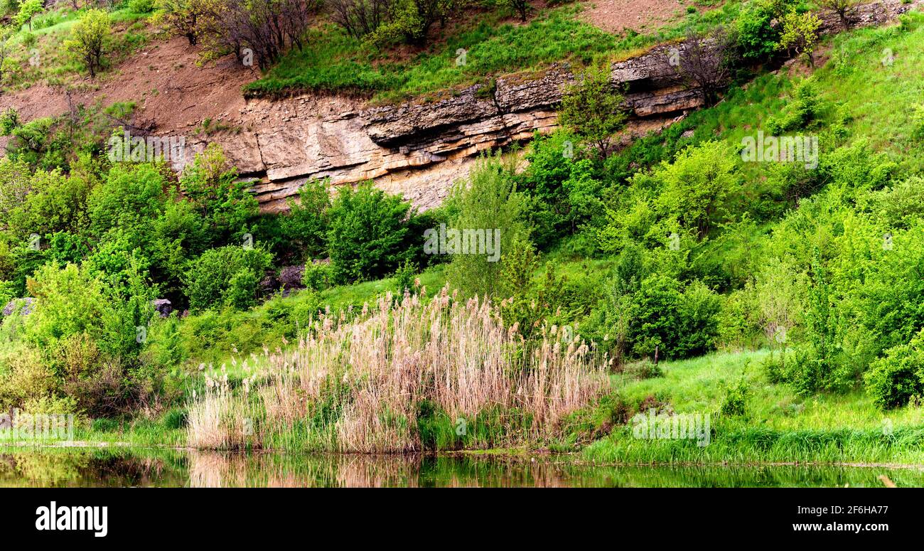 Forest spring or river flow landscape, calm nature background Stock ...