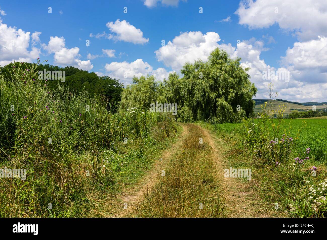 Path alongside farmland in rural Translyvania, Romania Stock Photo - Alamy