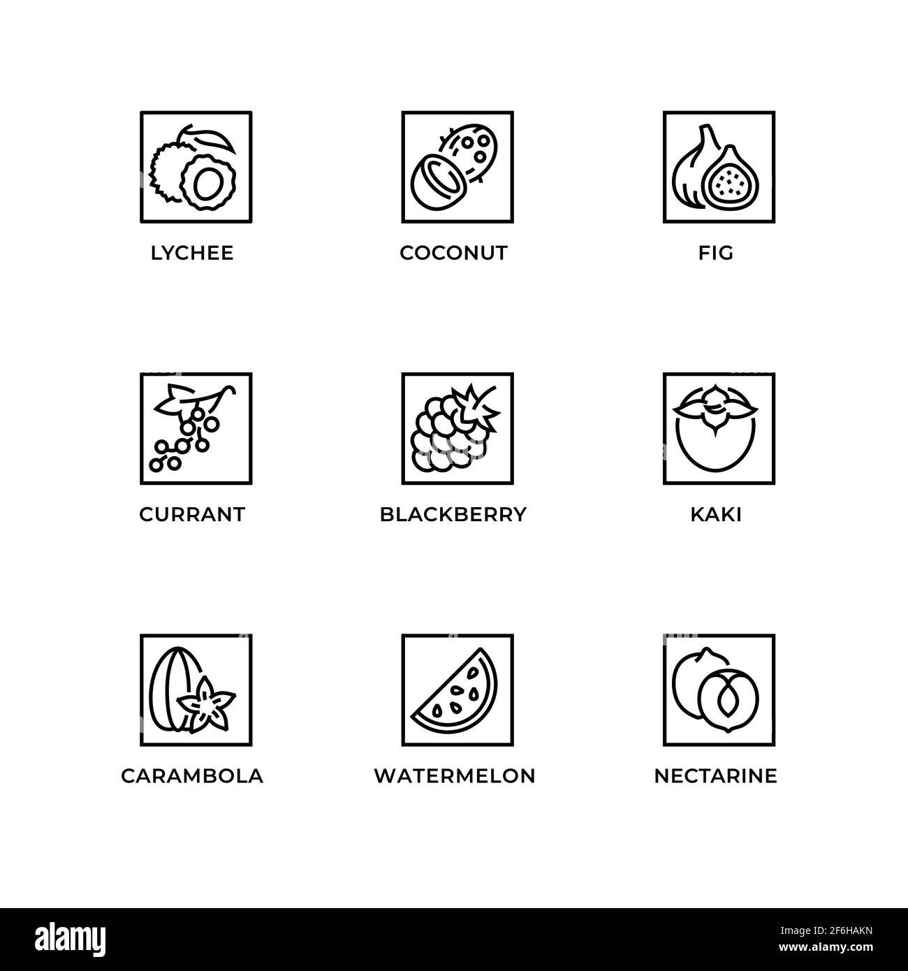 Vector set of design elements, logo design template, icons and badges for fruit. Line icon set ...