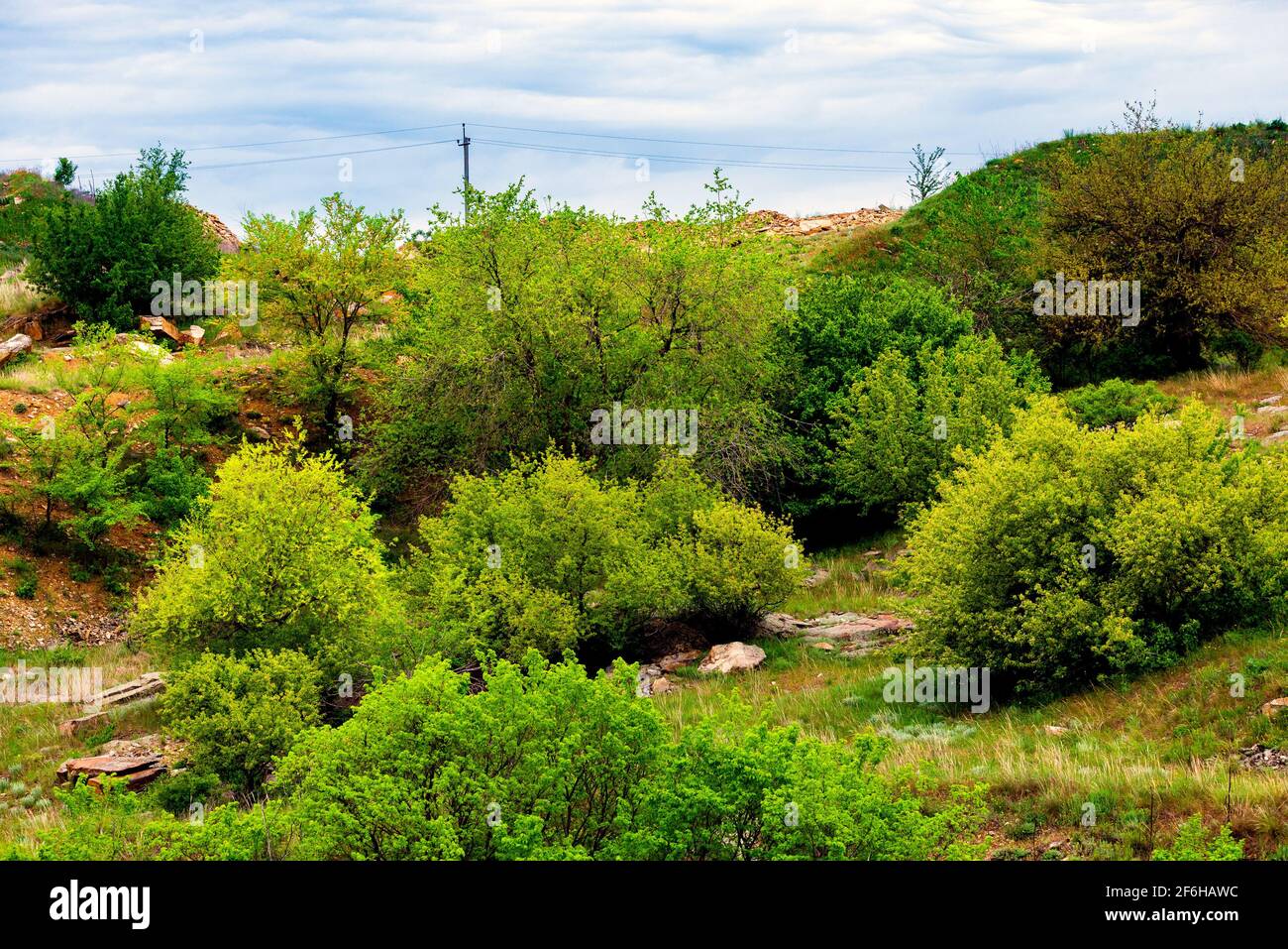 Beautiful green slopes of hills landscape. Nature in summertime Stock ...