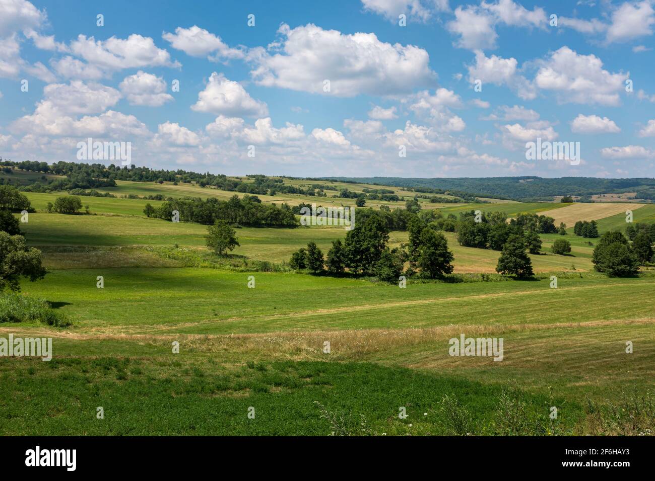 Fields and meadows in rural Transylvania, Romania Stock Photo - Alamy