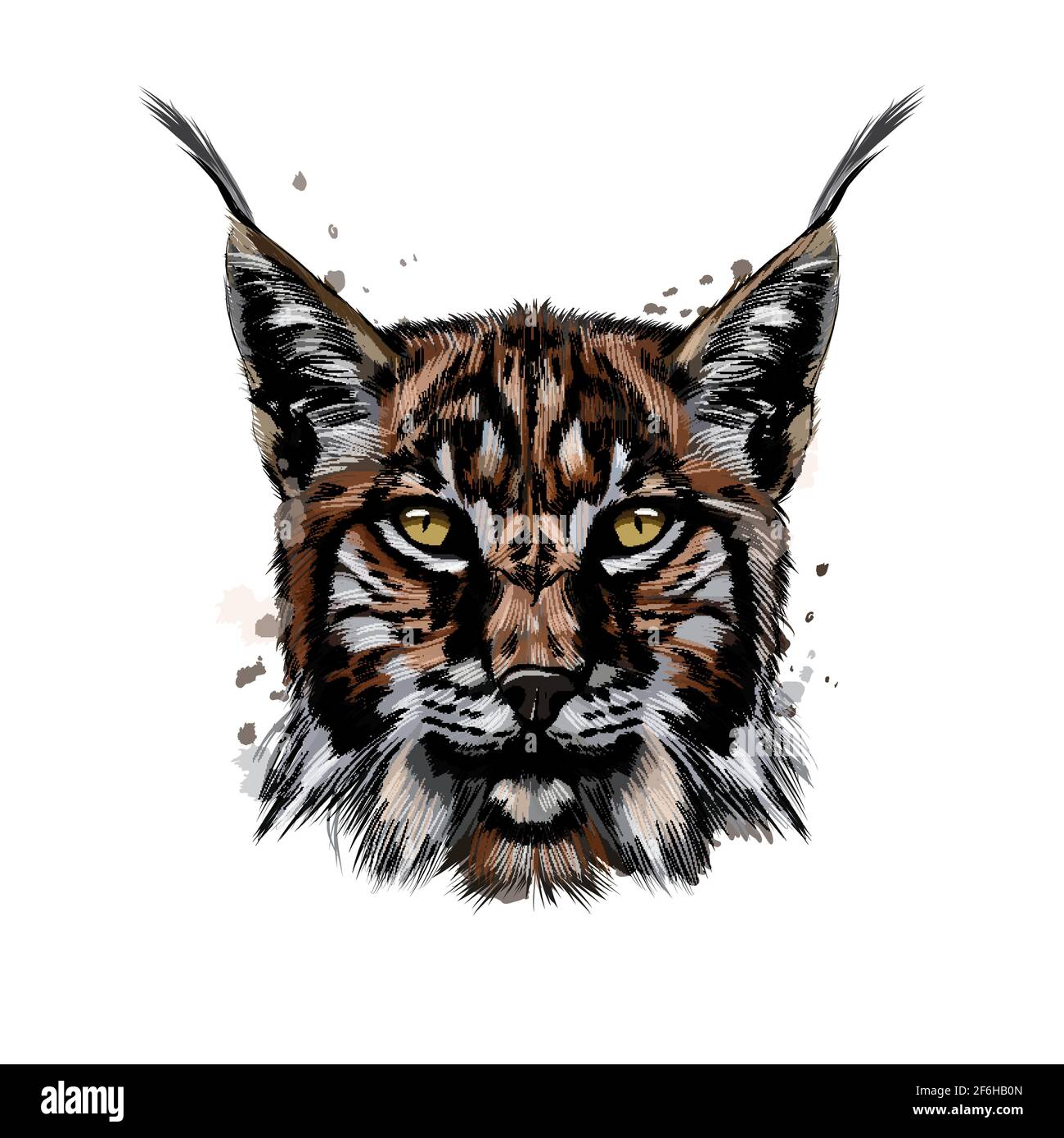 Eurasian lynx lynx lynx ears Cut Out Stock Images & Pictures - Alamy