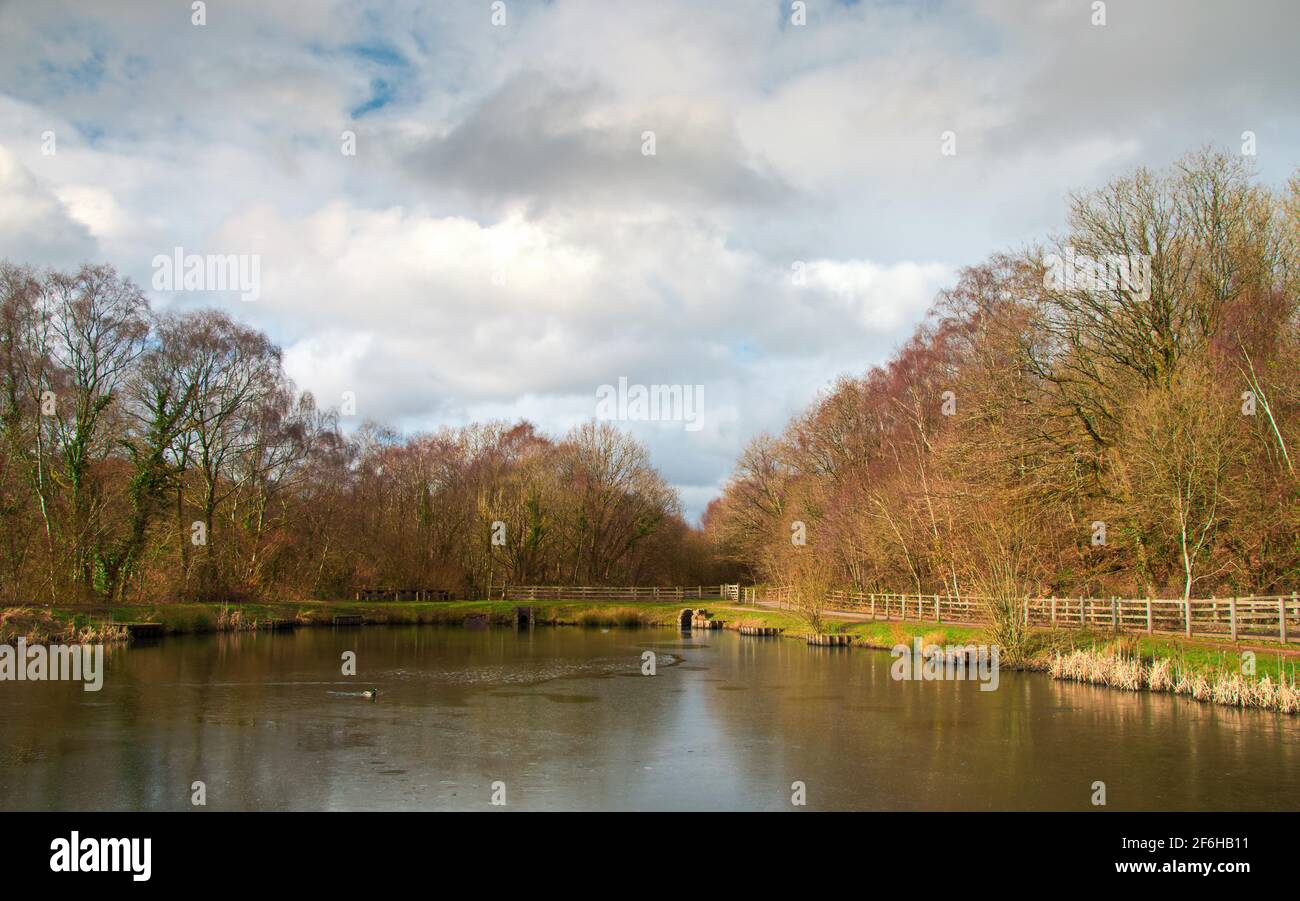 Penallta Park Ponds Stock Photo - Alamy