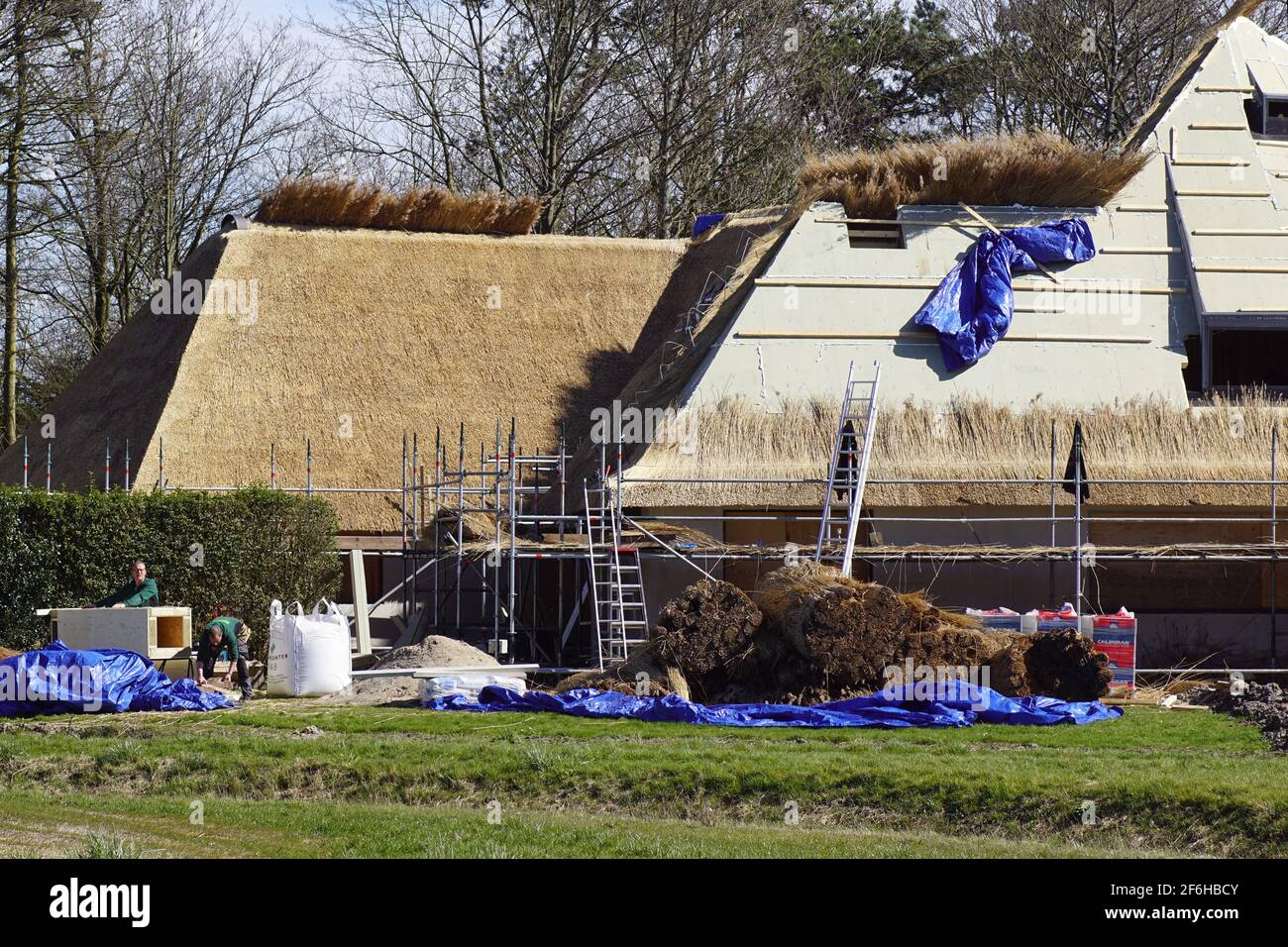 Holland roof home thatched hi-res stock photography and images - Alamy