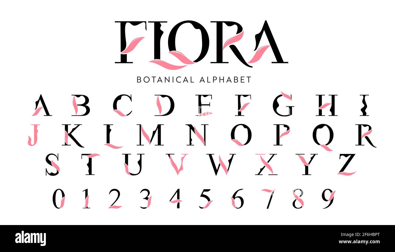 Vector Floral Alphabet with decorative leafs elements. Modern elegance ...
