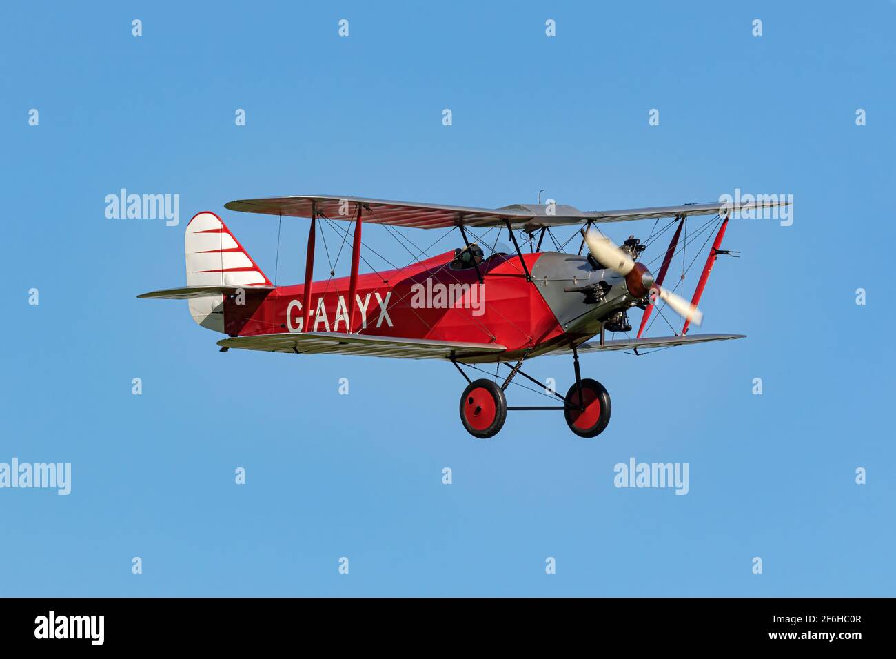 Martlet hi-res stock photography and images - Alamy