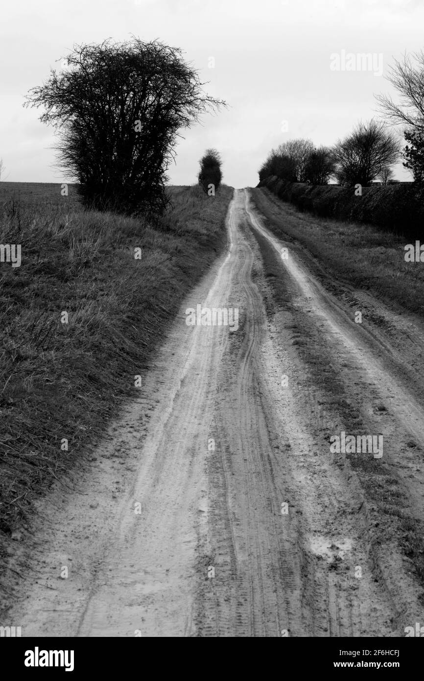 Chalkland path Black and White Stock Photos & Images - Alamy