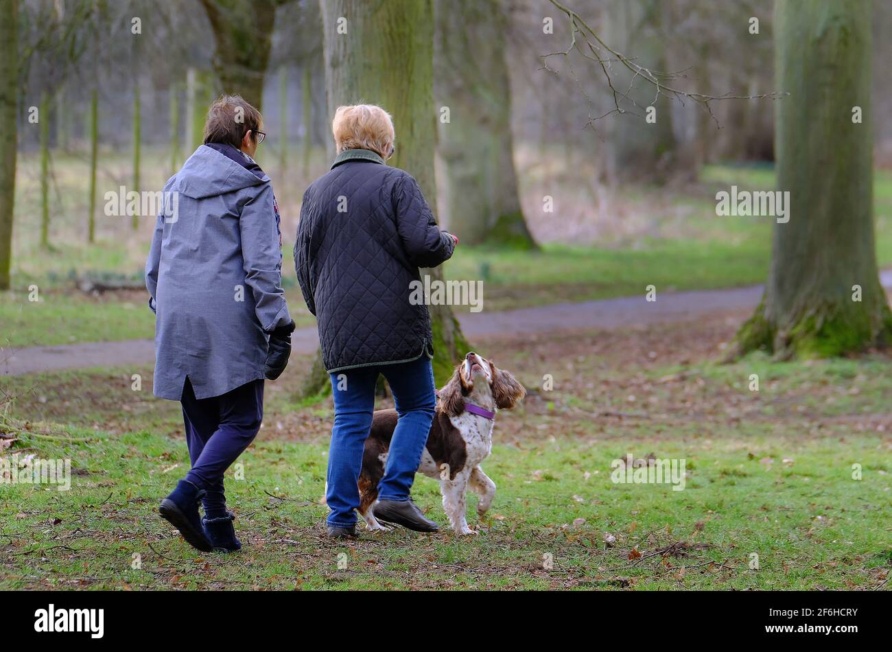 Two women with a dog hi-res stock photography and images - Alamy