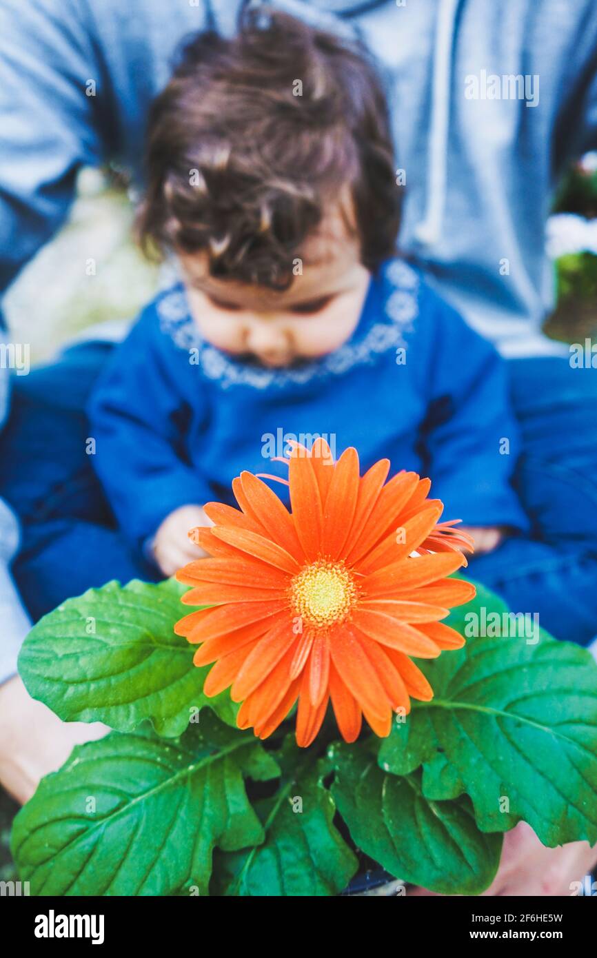 Little baby discovering a huge flower for first time Stock Photo - Alamy