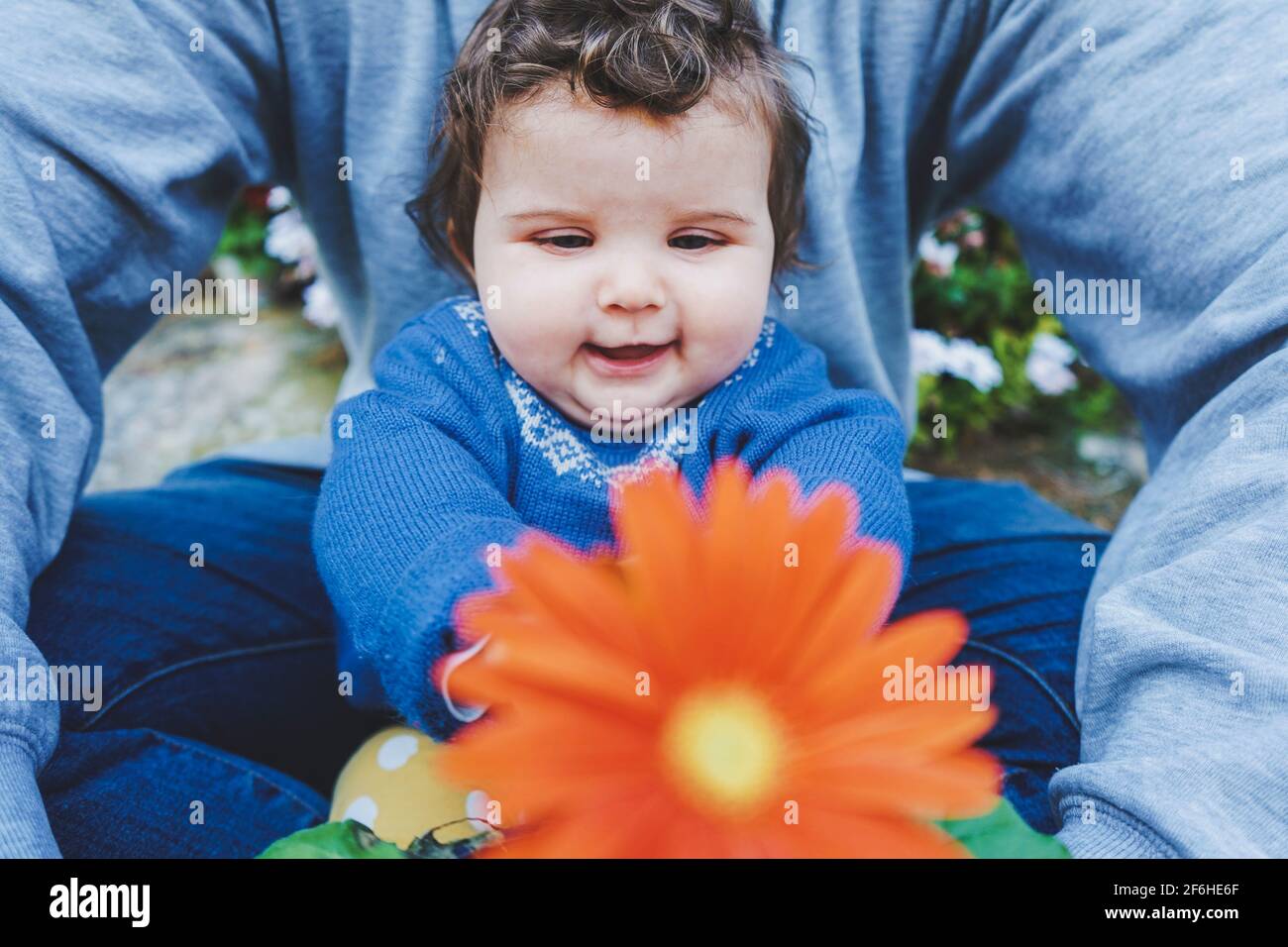 Little baby discovering a huge flower for first time Stock Photo - Alamy