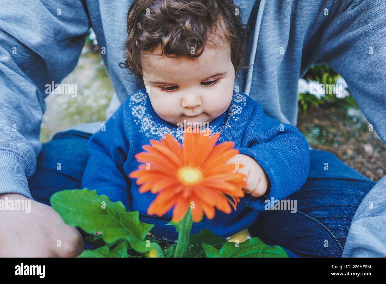 Little baby discovering a huge flower for first time Stock Photo - Alamy