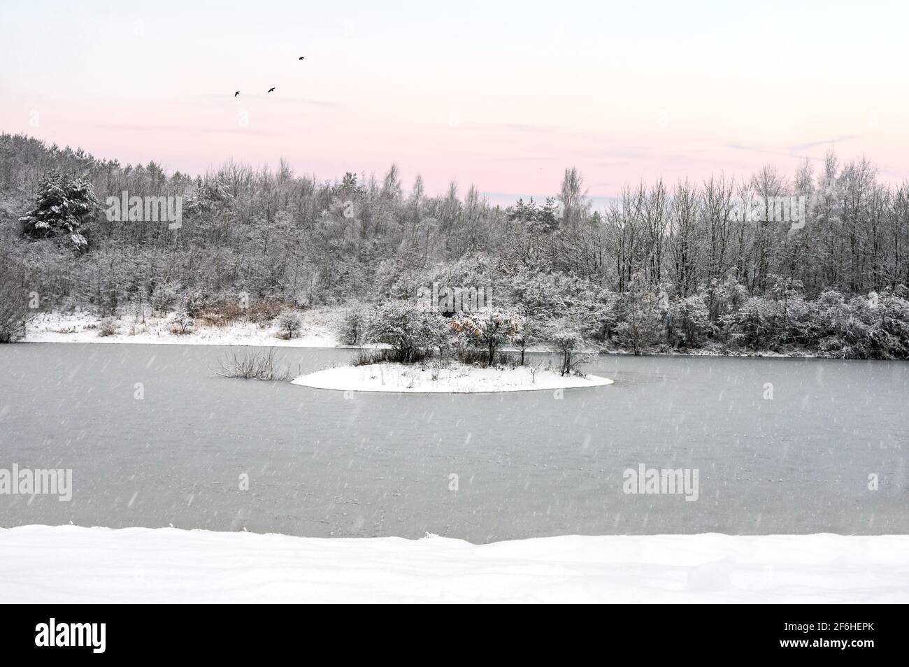 Winter woodland island in lake with deep snow settled and snowing from ...