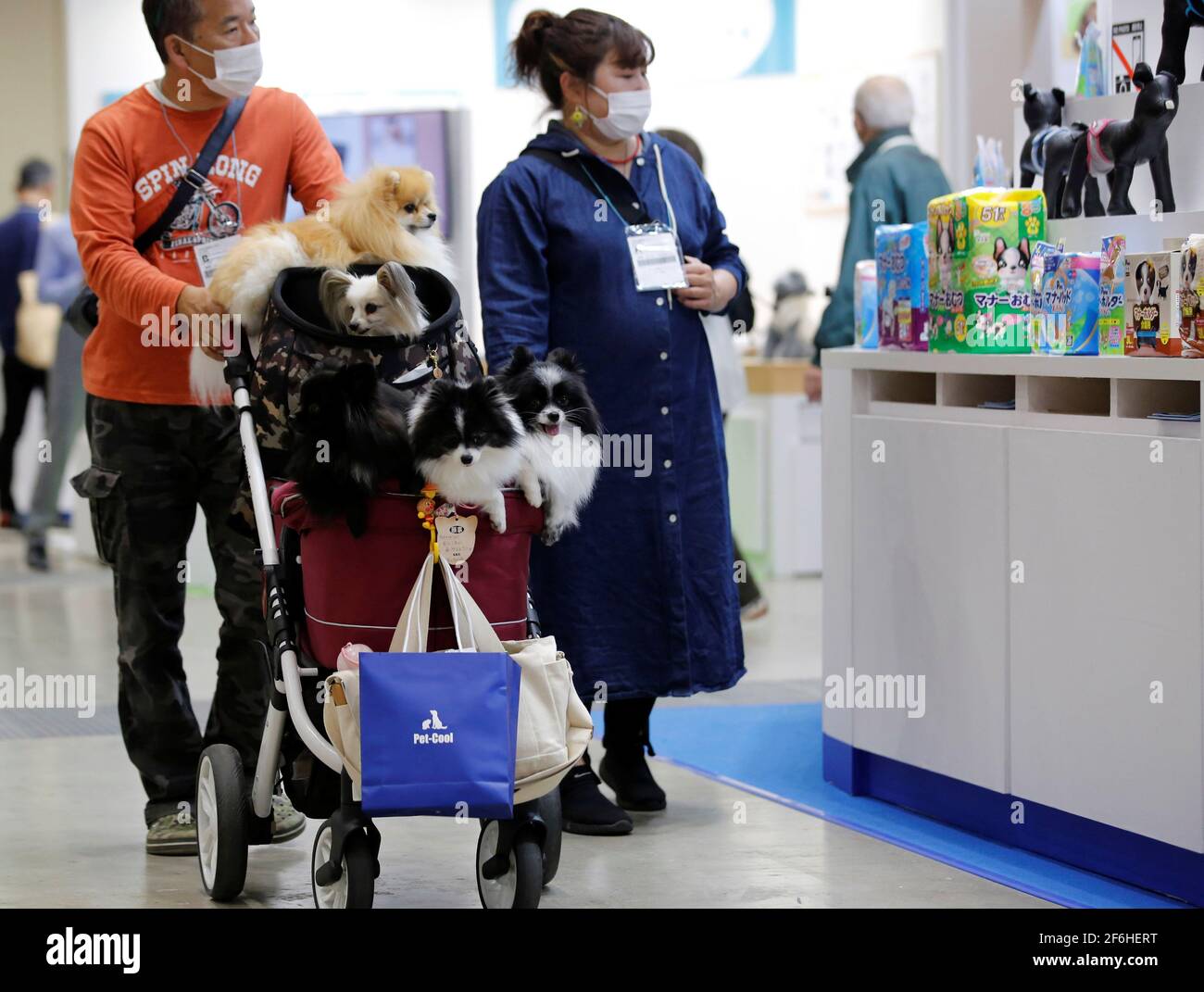 Pet stroller hi-res stock photography and images - Alamy