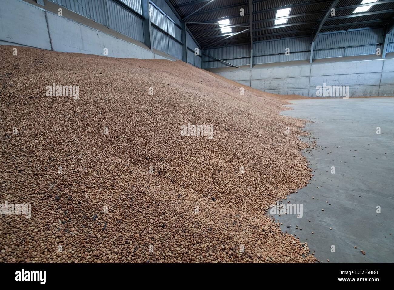 Animal feed uk hi-res stock photography and images - Alamy