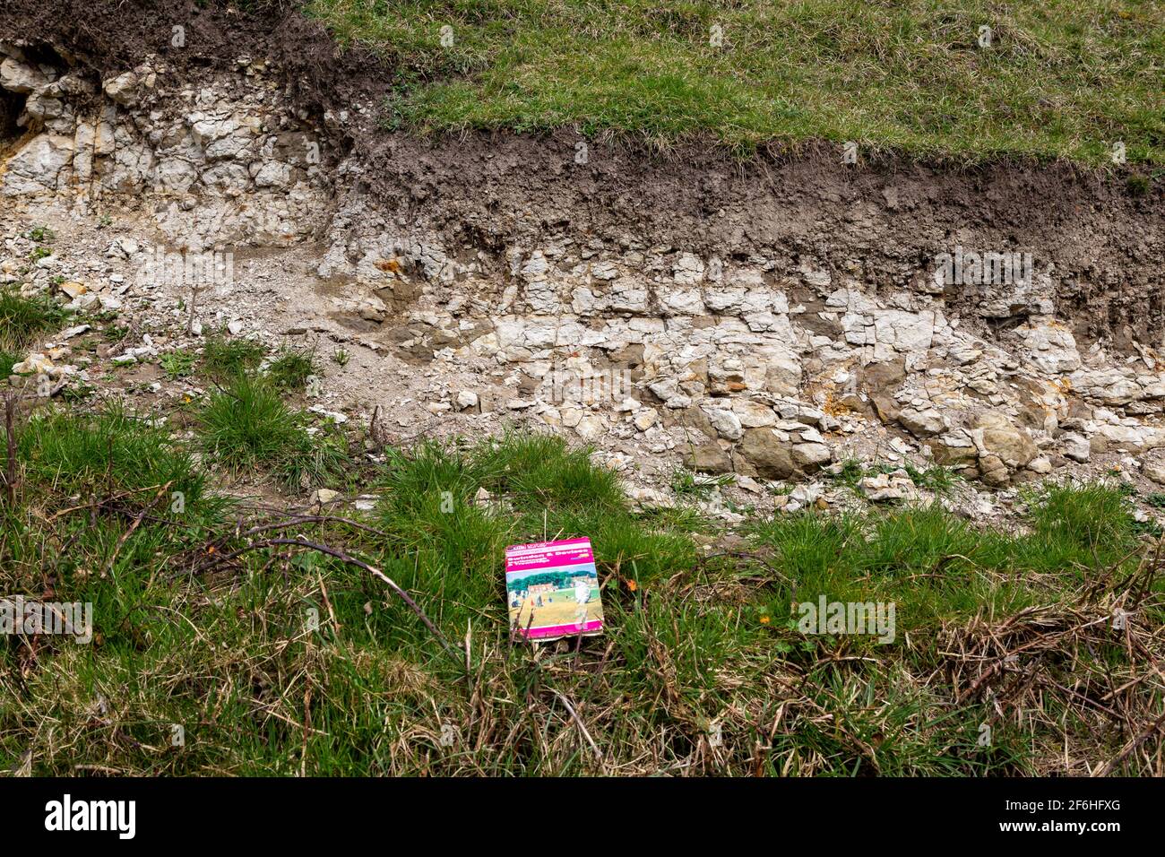 Soil profile hi-res stock photography and images - Alamy
