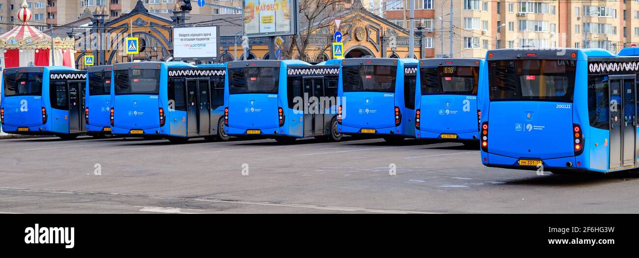 Moscow. Russia. March 26, 2021. Many blue modern public transport buses ...
