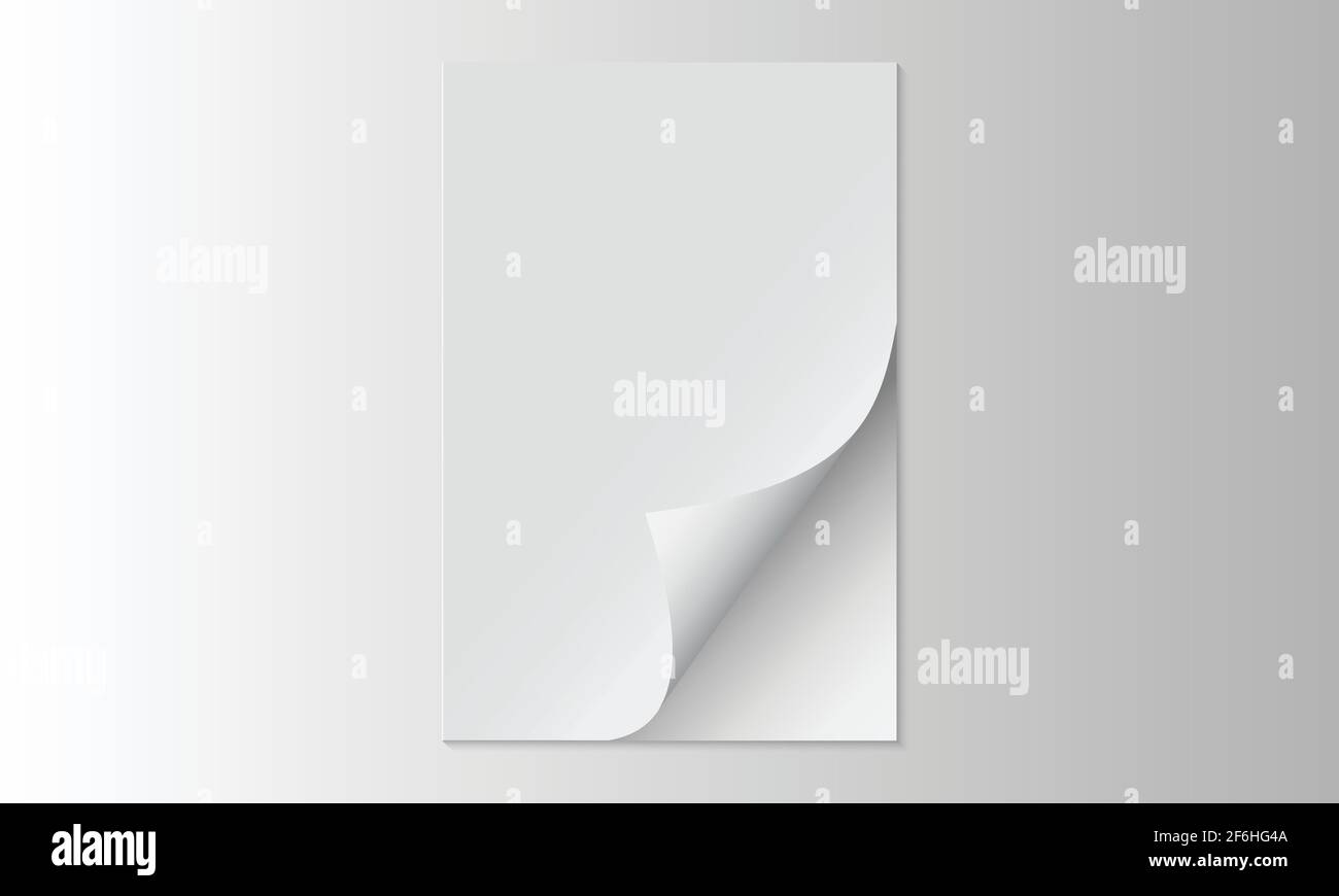 Realistic open white paper background. Template for business Stock ...