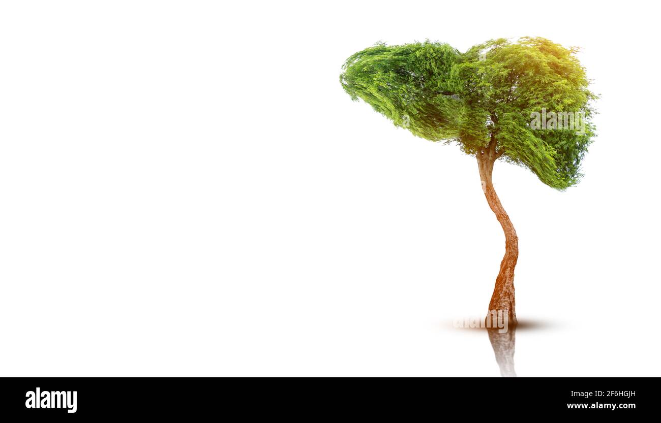 Realistic liver images are human green tree shapes about diseases and ...