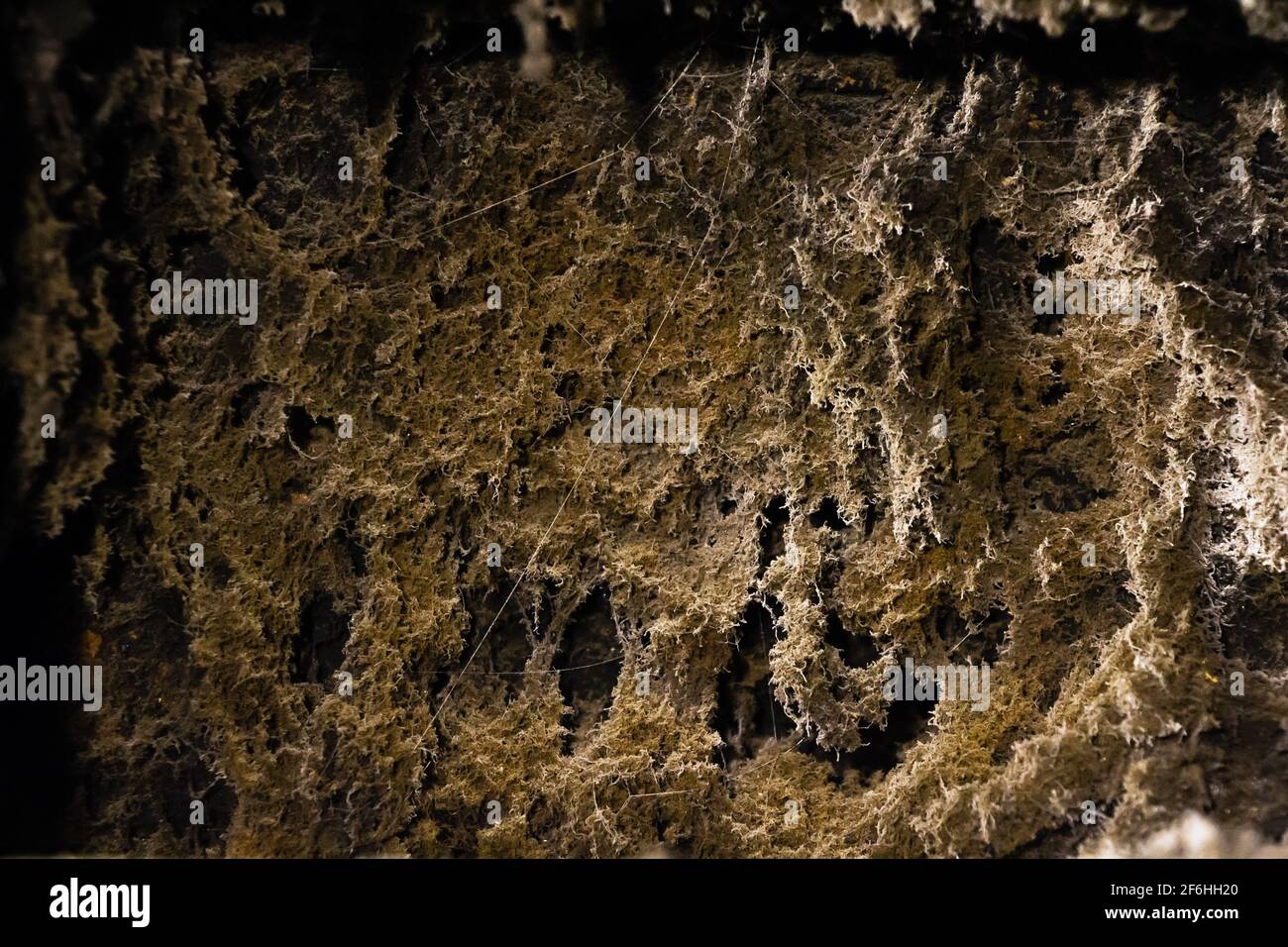 Image of old dust texture in ventilation shaft Stock Photo - Alamy