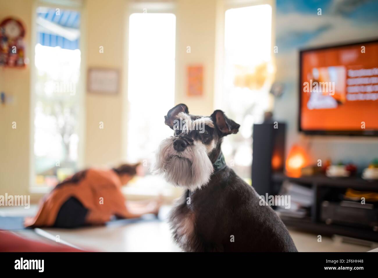 Doggy position hi-res stock photography and images - Alamy