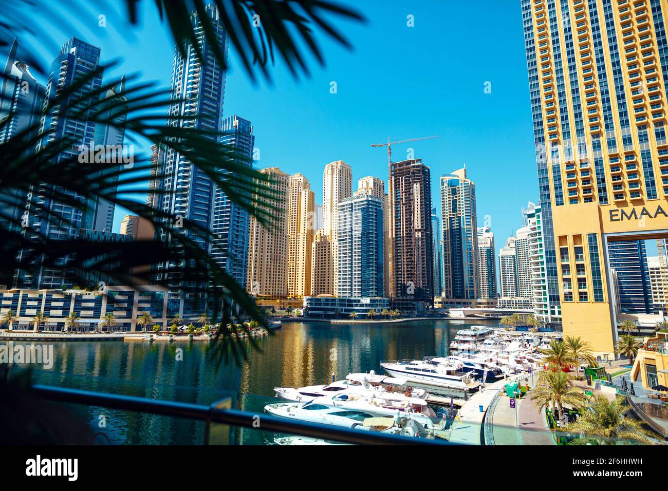 View of Dubai Marina. Palm trees, yachts and skyscrapers Stock Photo ...