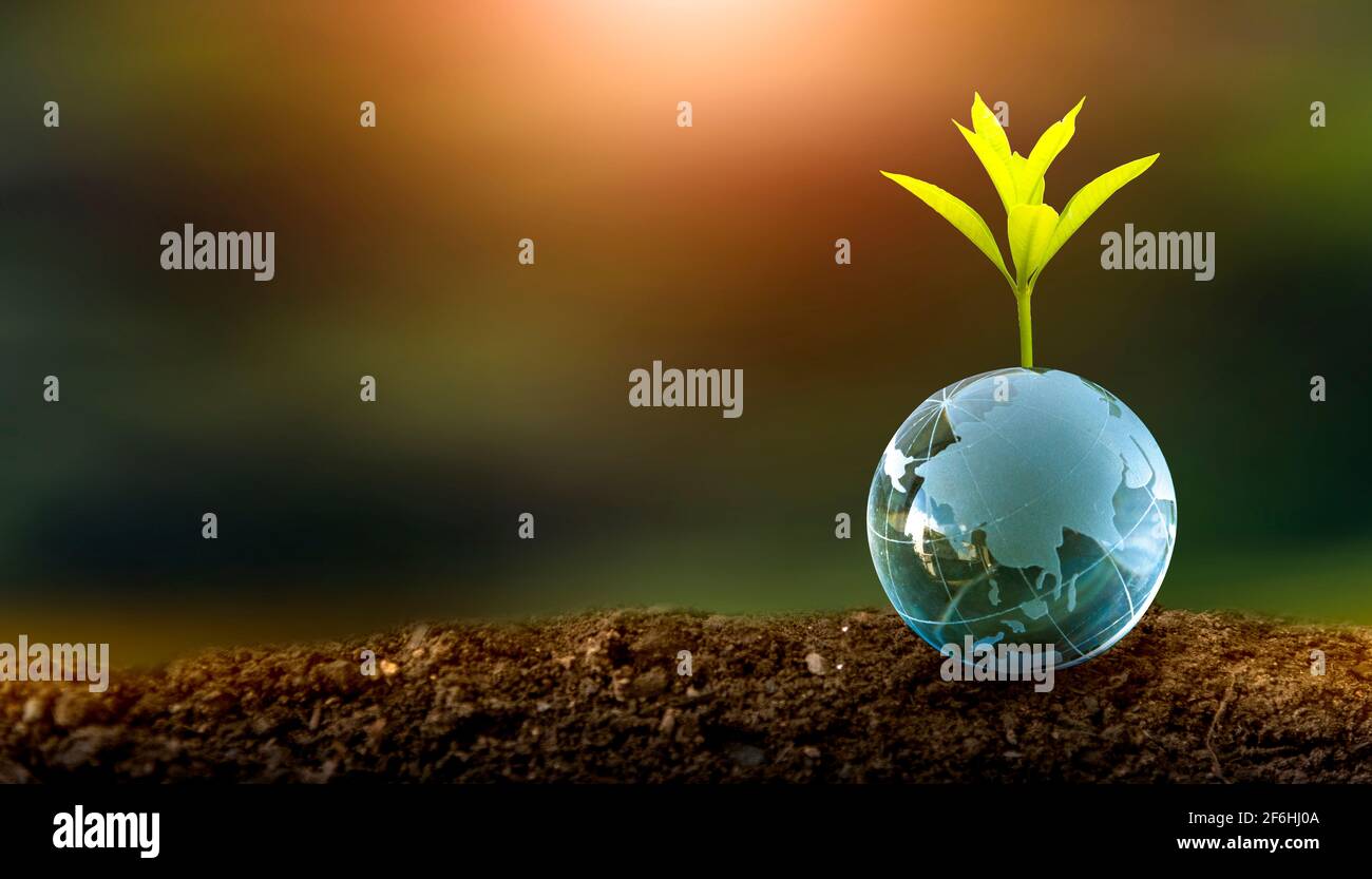 Renewable energy concept Earth Day or environment protection Hands ...