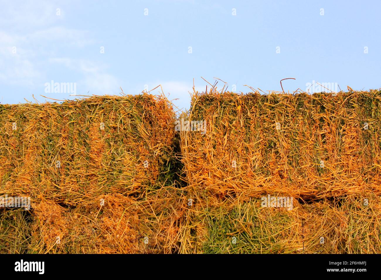 Hayloft cartoon hi-res stock photography and images - Alamy