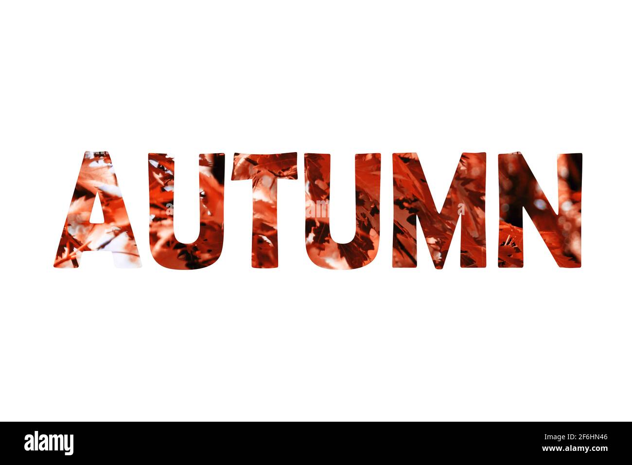 Letter made from red Cut Out Stock Images & Pictures - Alamy