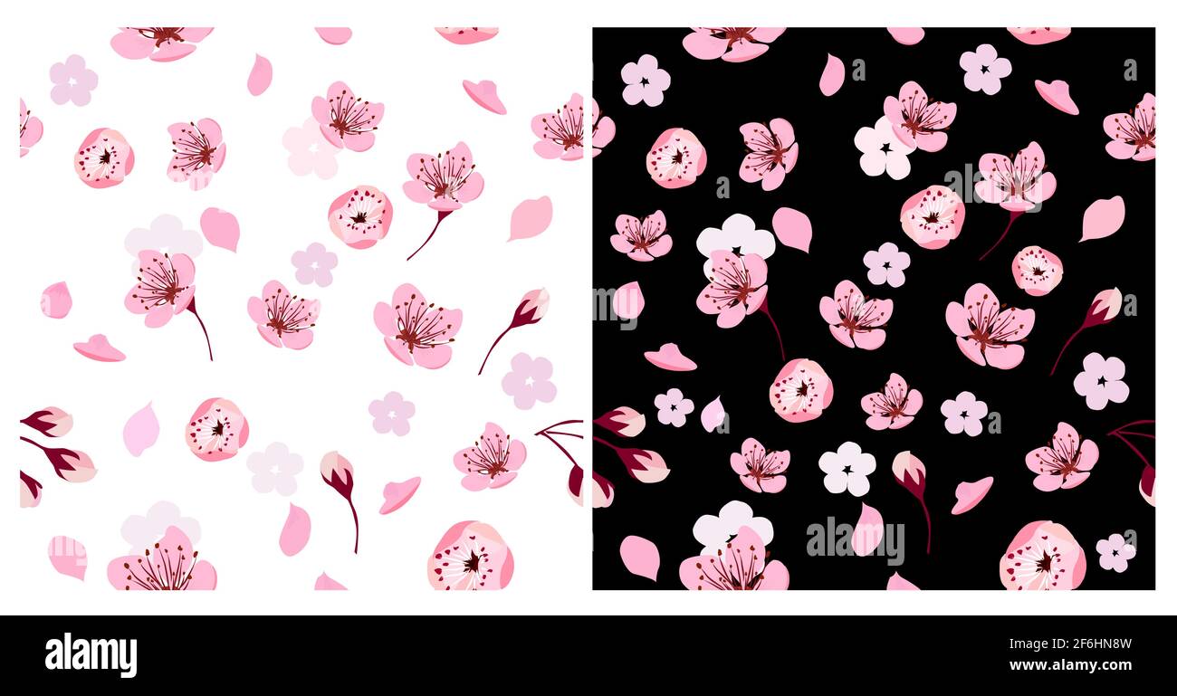 A seamless background of sakura. Vector illustration Stock Vector Image ...