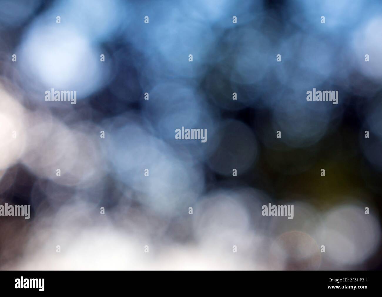 Soft focus blurred focus trees background hi-res stock photography and ...